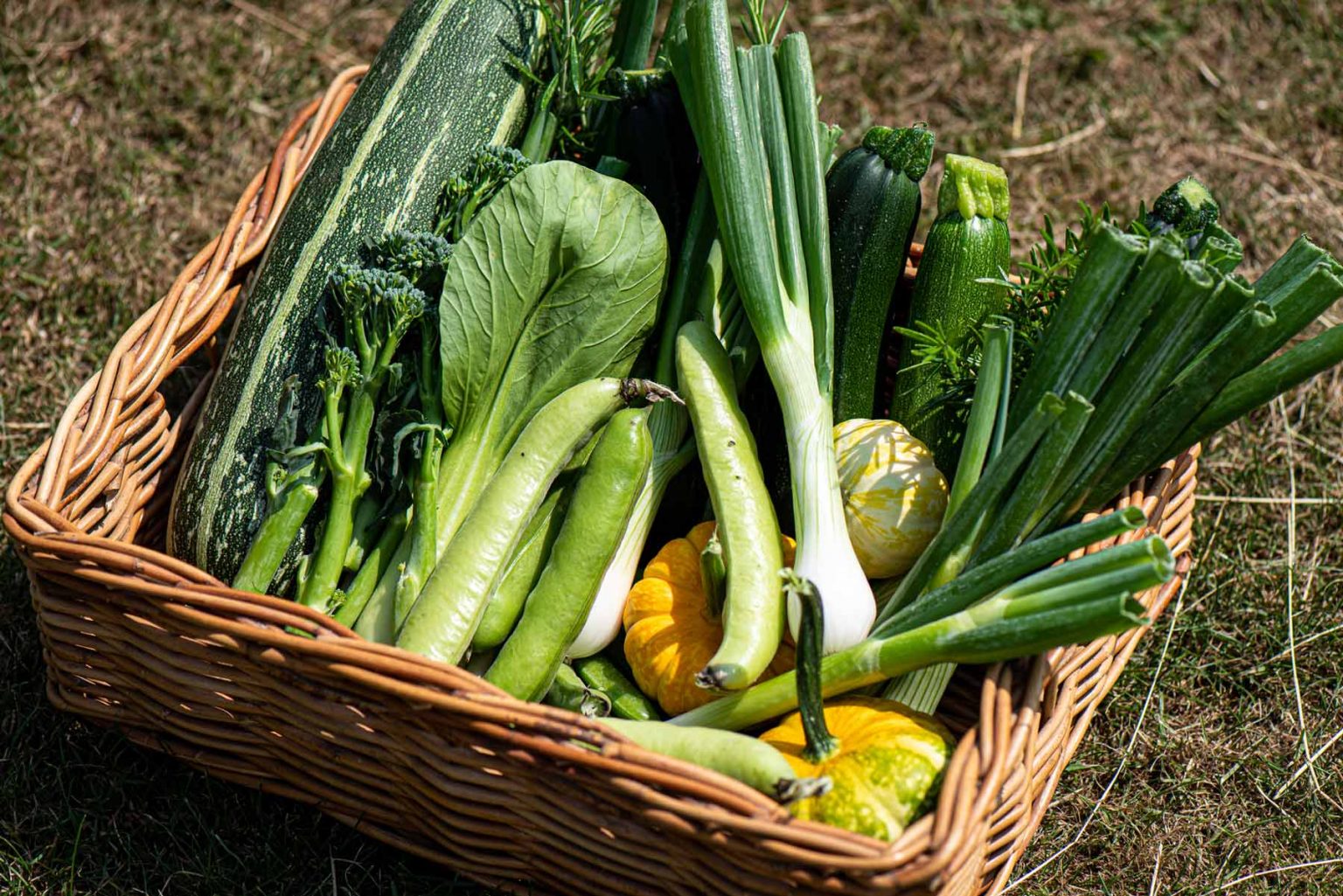 Top Barn Produce - Harper Farming
